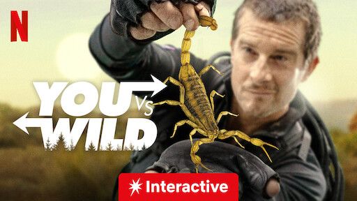 You vs. Wild credits (Browser, 2019) - MobyGames