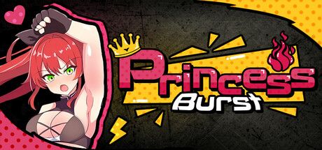 Princess Burst box covers - MobyGames