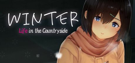 Winter: Life in the Countryside box covers - MobyGames