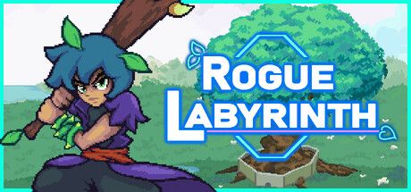Rogue Labyrinth (2025) - MobyGames