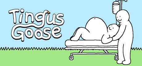 Tingus Goose (2025) - MobyGames