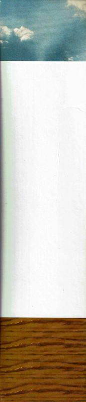 ProFlight 98 cover or packaging material - MobyGames