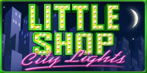 Little Shop: Big City (2007) - MobyGames