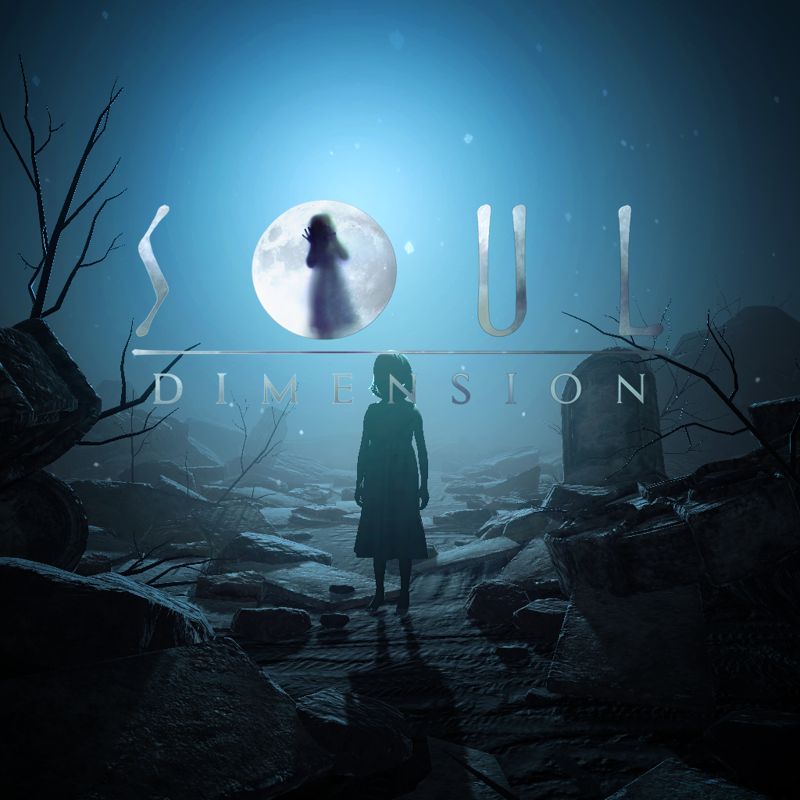 Soul Dimension (2017) - MobyGames