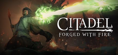 Citadel: Forged with Fire cover or packaging material - MobyGames
