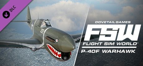 FSW: Flight Sim World - P-40F Warhawk (2017) - MobyGames