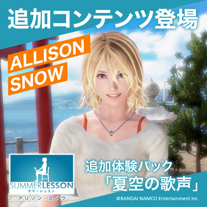 Summer Lesson Allison Snow Natsuzora No Utagoe Box Covers Mobygames