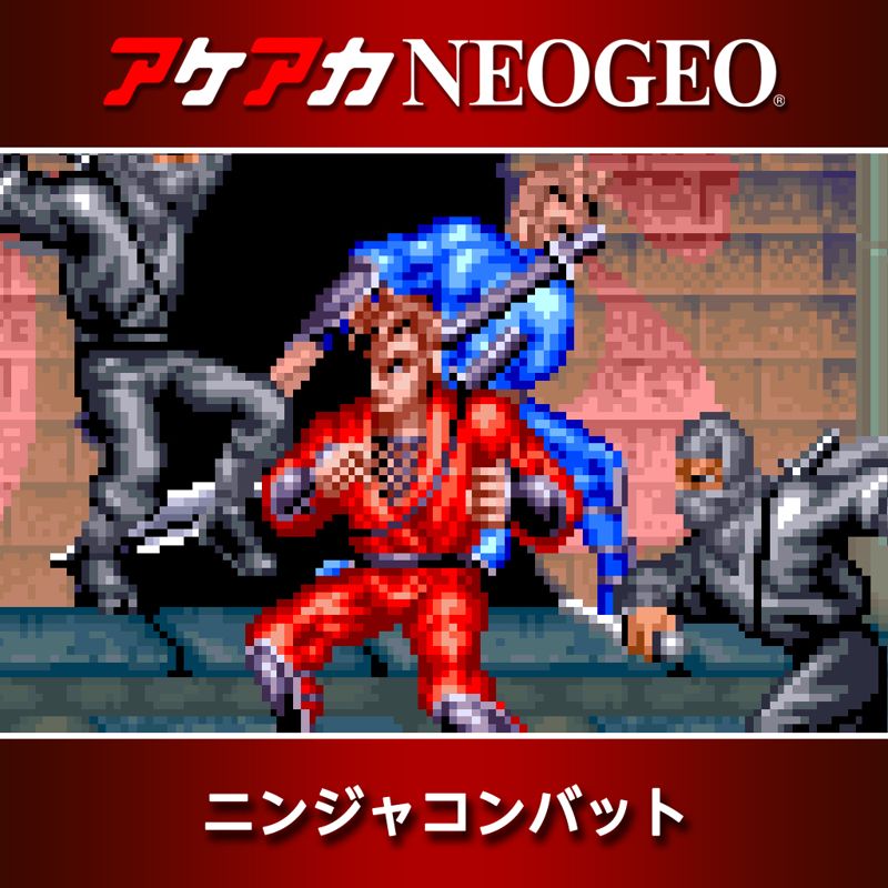 Ninja Combat cover or packaging material - MobyGames