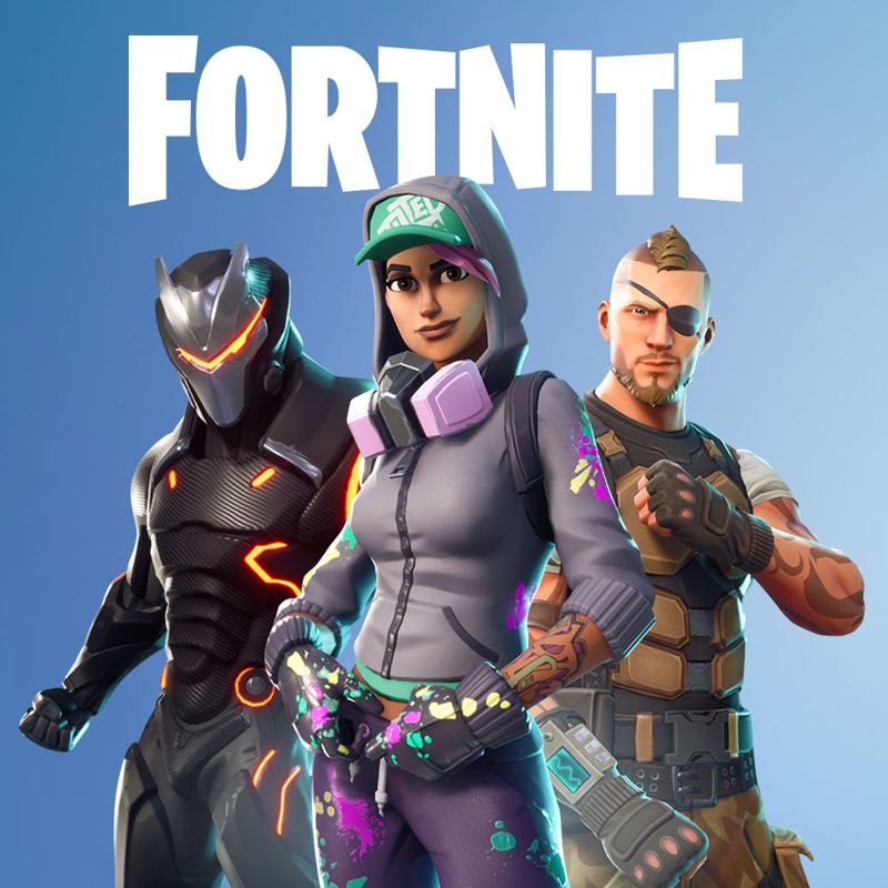 Fortnite cover or packaging material - MobyGames