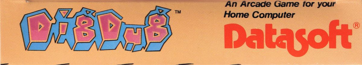 Dig Dug cover or packaging material - MobyGames