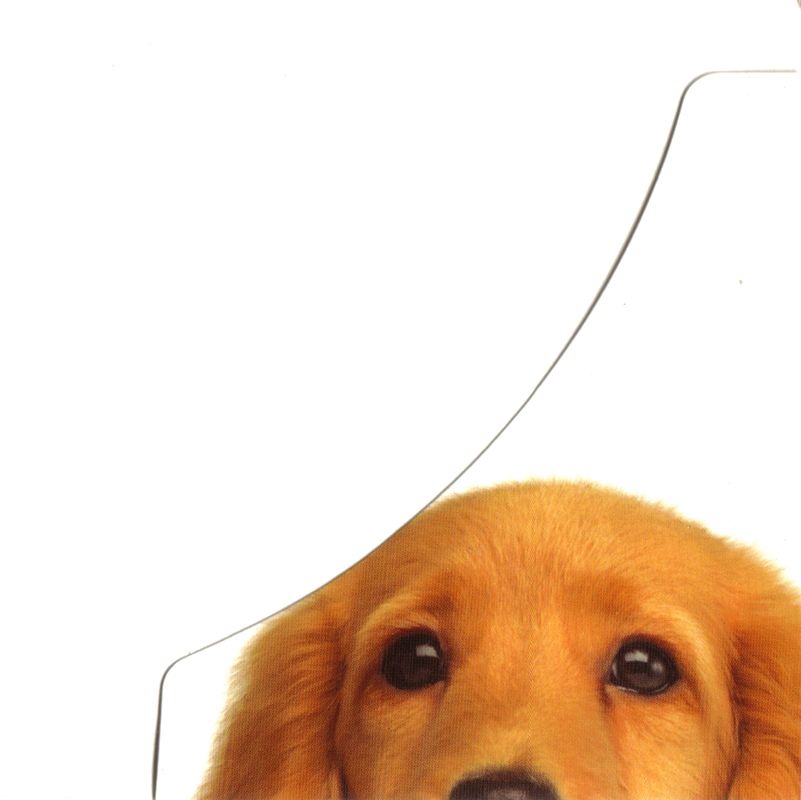 Nintendo DS (Nintendogs: Best Friends) (included game) cover or ...