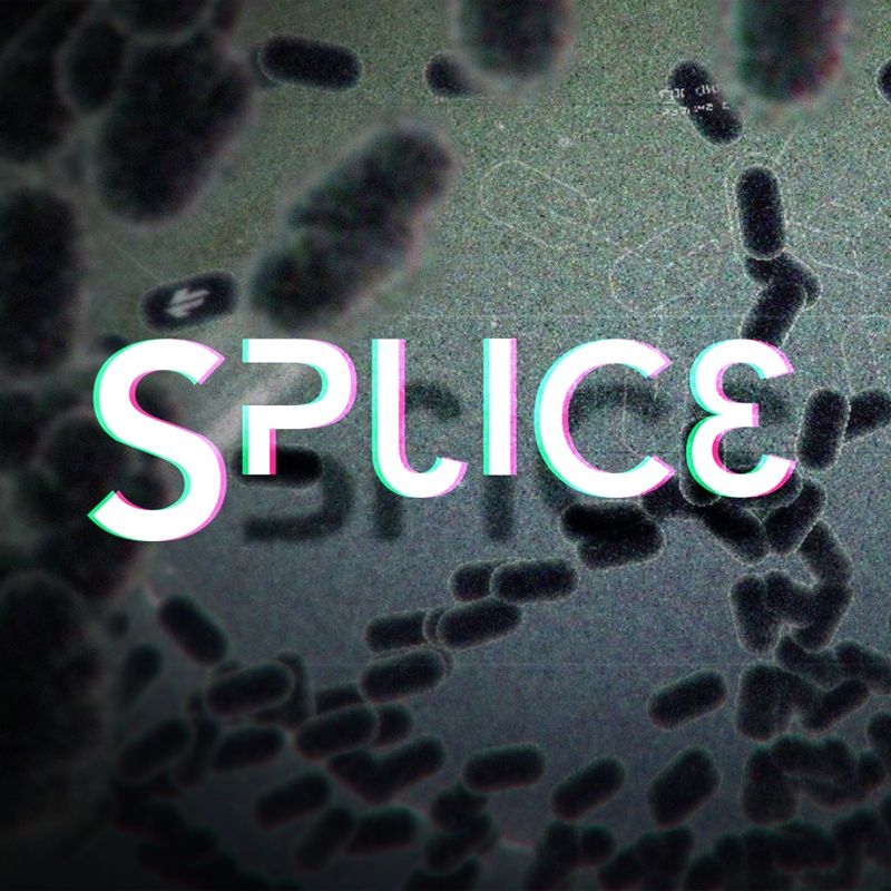 Splice cover or packaging material - MobyGames