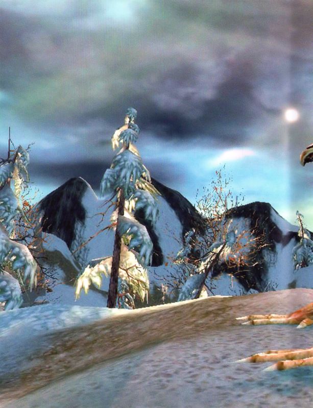 Guild Wars cover or packaging material - MobyGames