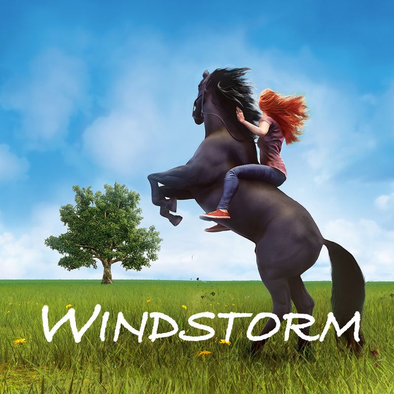 Windstorm: The Game cover or packaging material - MobyGames