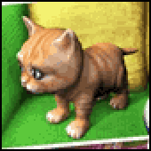 Kitty Luv (2006) - MobyGames