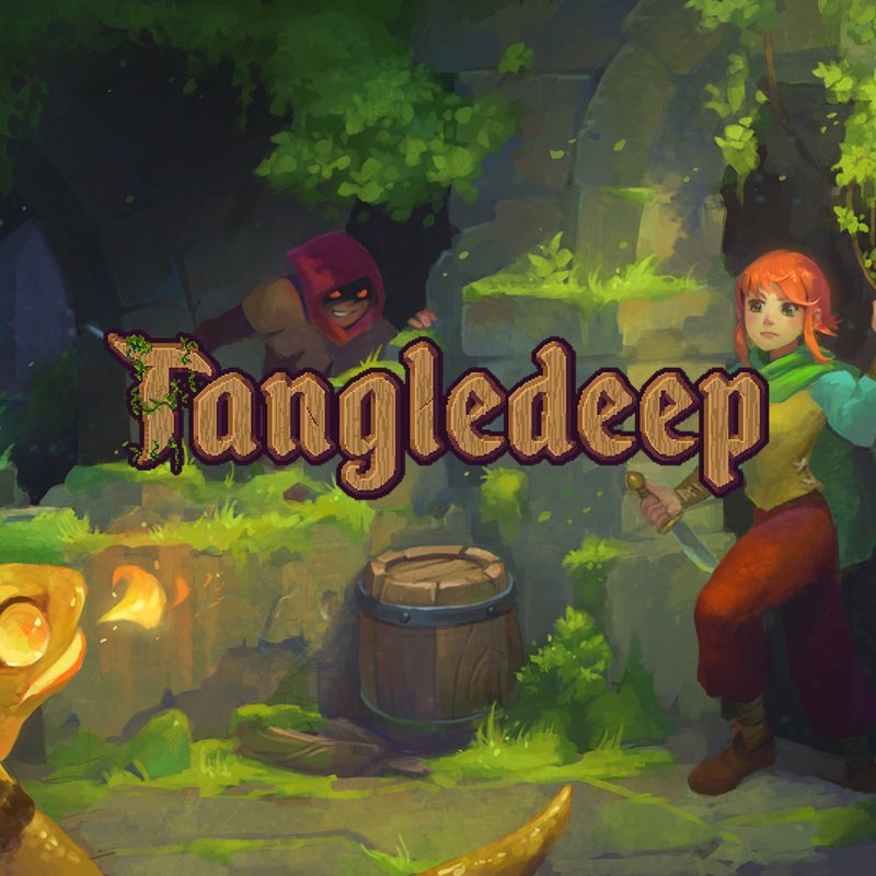 Tangledeep cover or packaging material - MobyGames