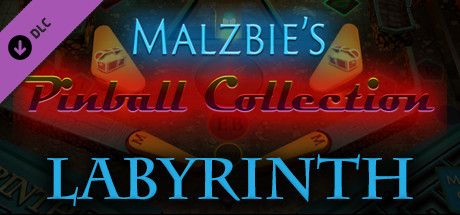 Malzbie's Pinball Collection: Labyrinth (2019) - MobyGames
