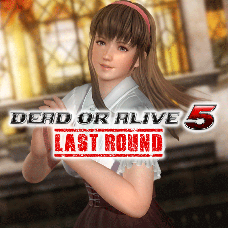 Dead Or Alive 5 Last Round High Society Costume Hitomi Attributes