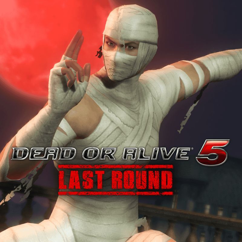 Dead or Alive 5: Last Round - Hayabusa Halloween Costume cover or ...