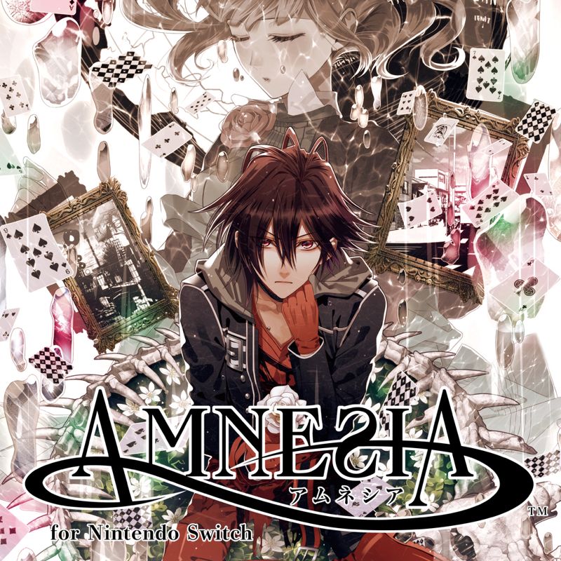 Amnesia: Memories cover or packaging material - MobyGames