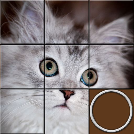 Sliding Puzzles - MobyGames