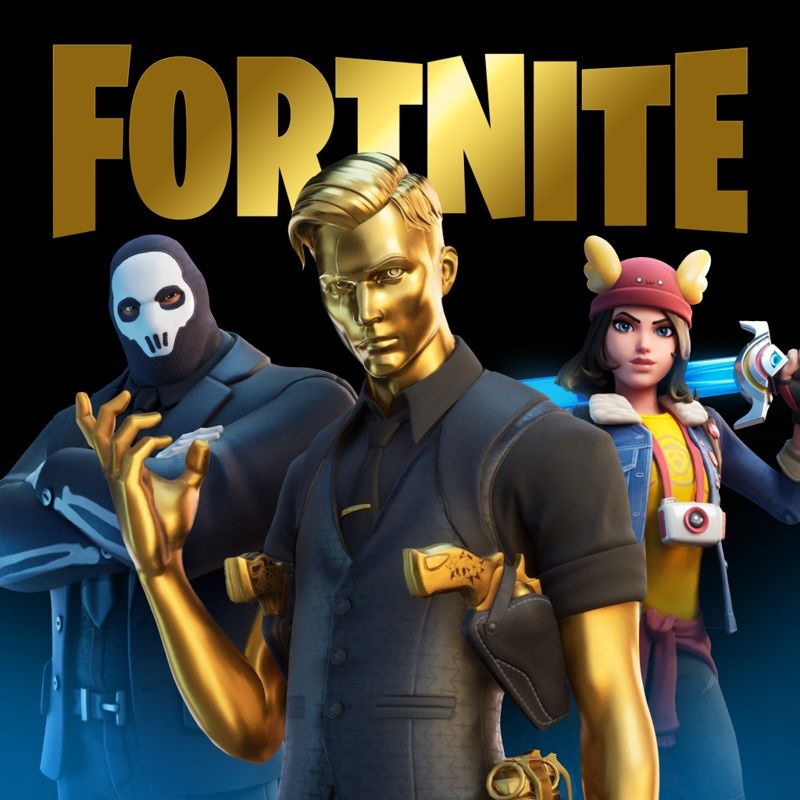 Fortnite cover or packaging material - MobyGames