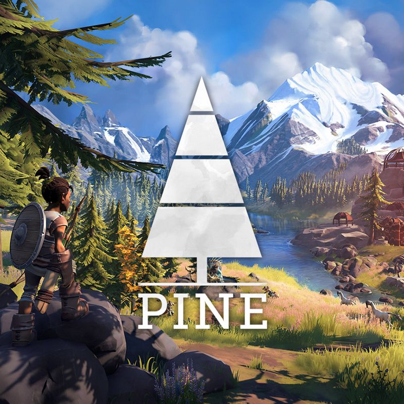 Pine cover or packaging material - MobyGames