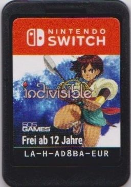 Indivisible cover or packaging material - MobyGames