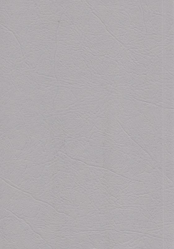 NieR Replicant ver.1.22474487139... (White Snow Edition) cover or ...