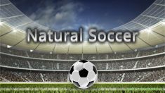 Natural Soccer: World-Class Arcade Soccer (2014) - MobyGames