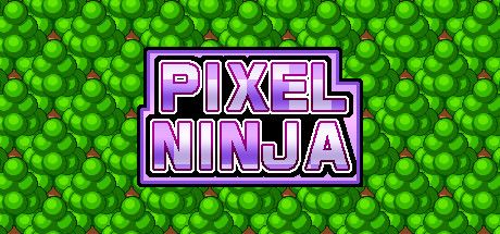 Pixel Ninja (2020) - MobyGames