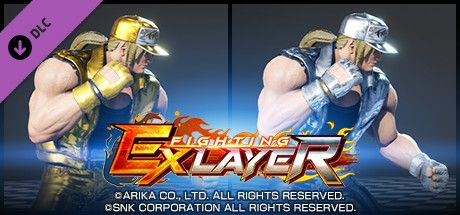 Fighting EX Layer: Color Gold/Silver - Terry (2019) - MobyGames