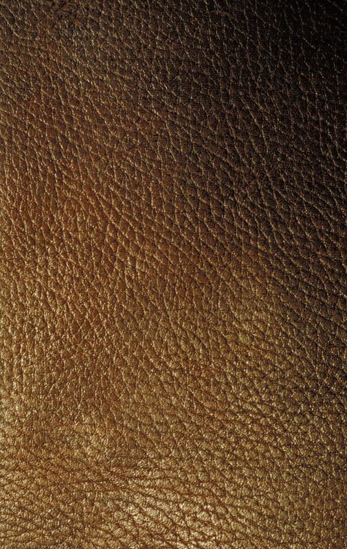 Ecstatica II cover or packaging material - MobyGames