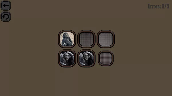 Animals Memory: Monkeys (2021) - MobyGames