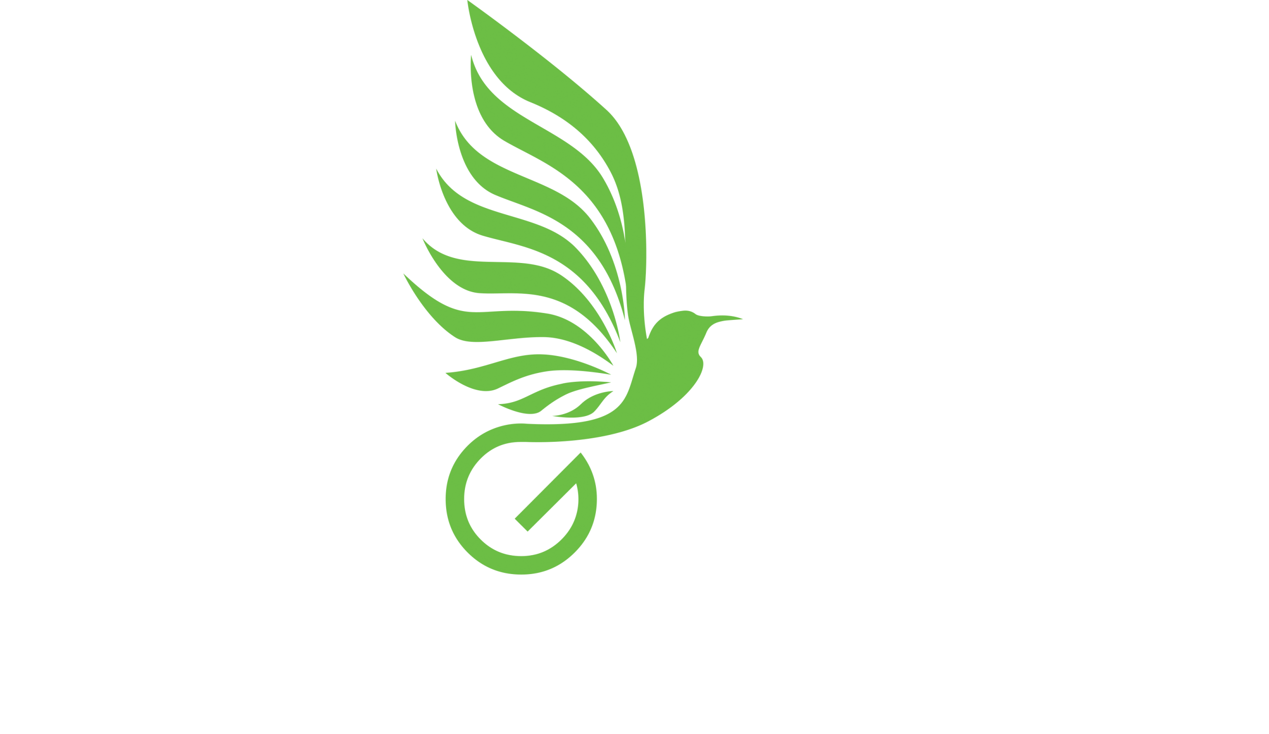 Forgotten Empires LLC Logo - MobyGames