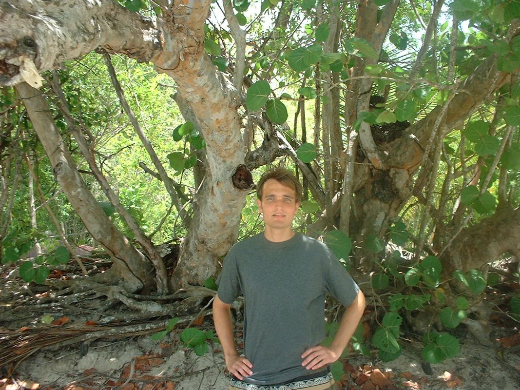 Jess Cliffe Photo - MobyGames