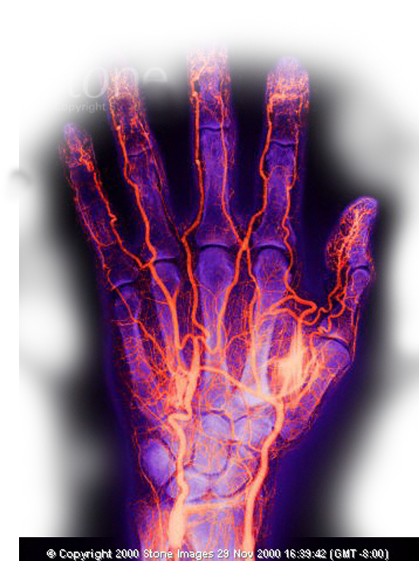 Extermination official promotional image - MobyGames