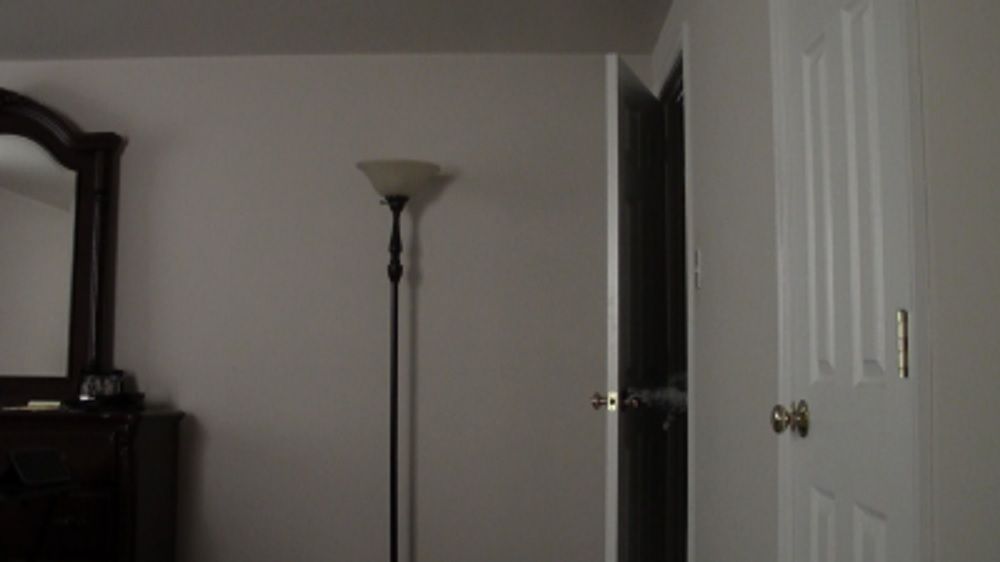 Really Scary 2 official promotional image - MobyGames