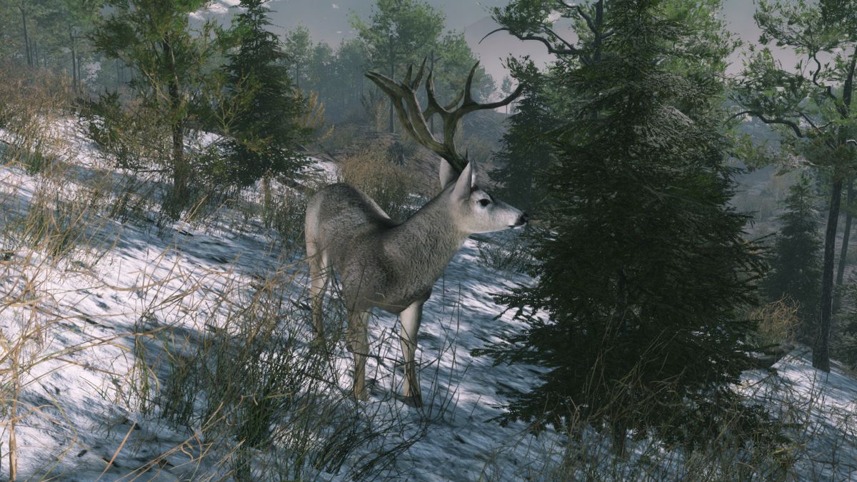 Pro Deer Hunting: Out West official promotional image - MobyGames
