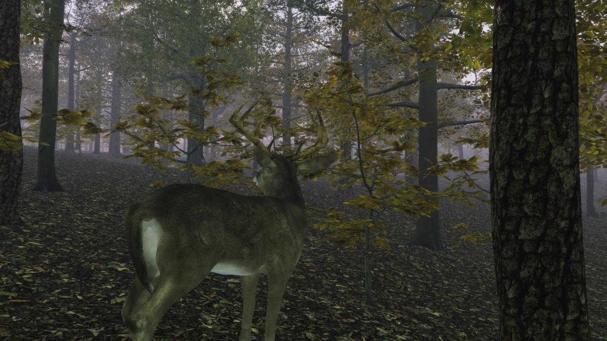 Pro Deer Hunting: Out West official promotional image - MobyGames