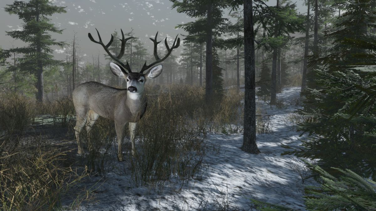 Pro Deer Hunting: Out West official promotional image - MobyGames