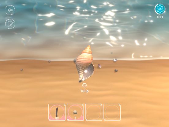 Seashell official promotional image - MobyGames