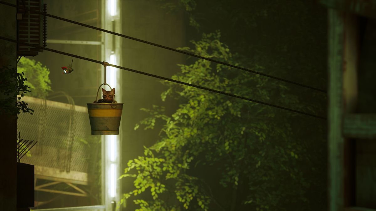 Stray official promotional image - MobyGames