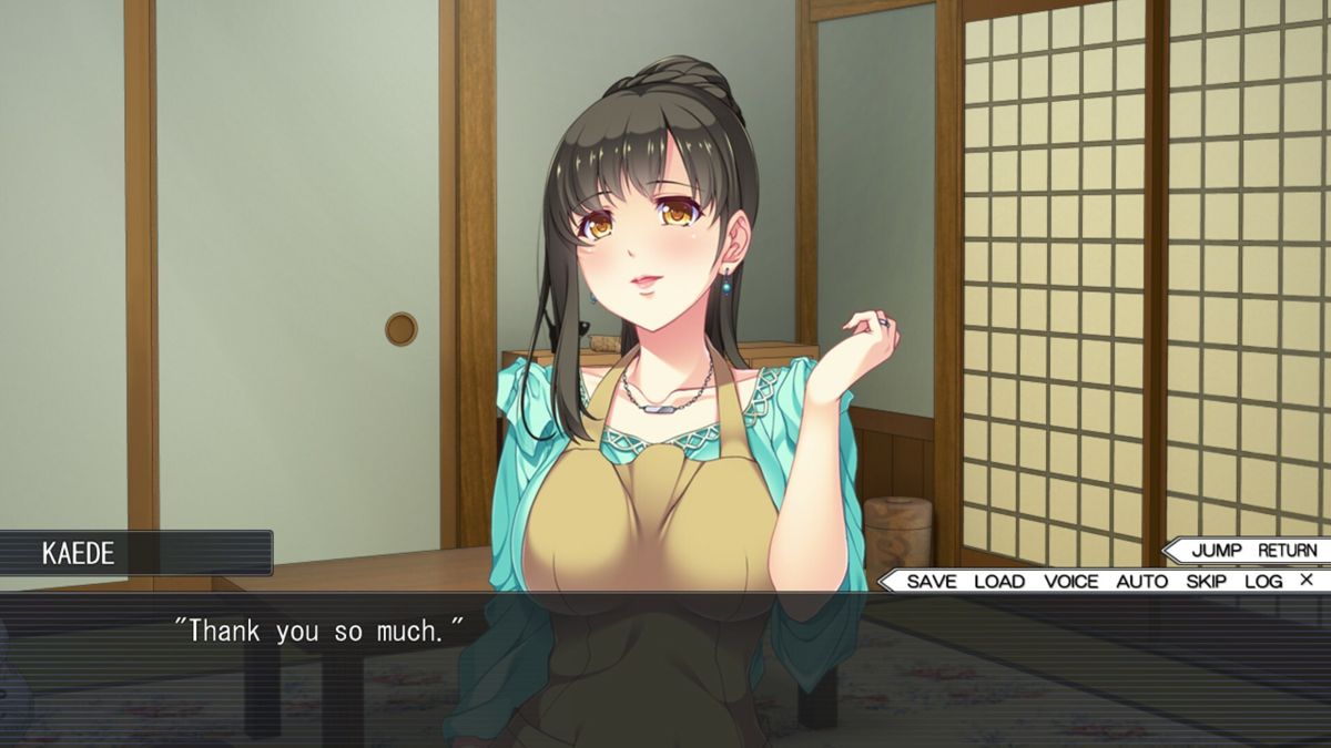 Obedient Women: Young Wife's Dilemma official promotional image - MobyGames