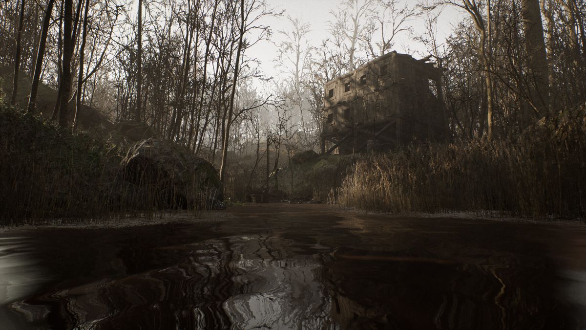 Stripped of Title: Backlash official promotional image - MobyGames