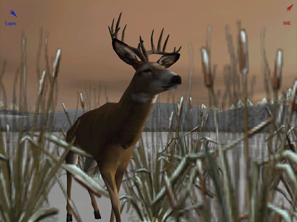 Deer Hunter 4: World-Class Record Bucks official promotional image - MobyGames