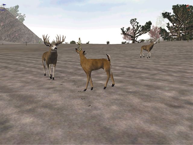 Buckmasters Deer Hunting (2000) - MobyGames