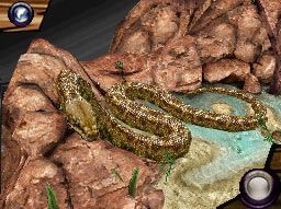 Discovery Kids: Snake Safari official promotional image - MobyGames