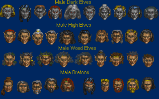 The Elder Scrolls: Chapter II - Daggerfall official promotional image ...