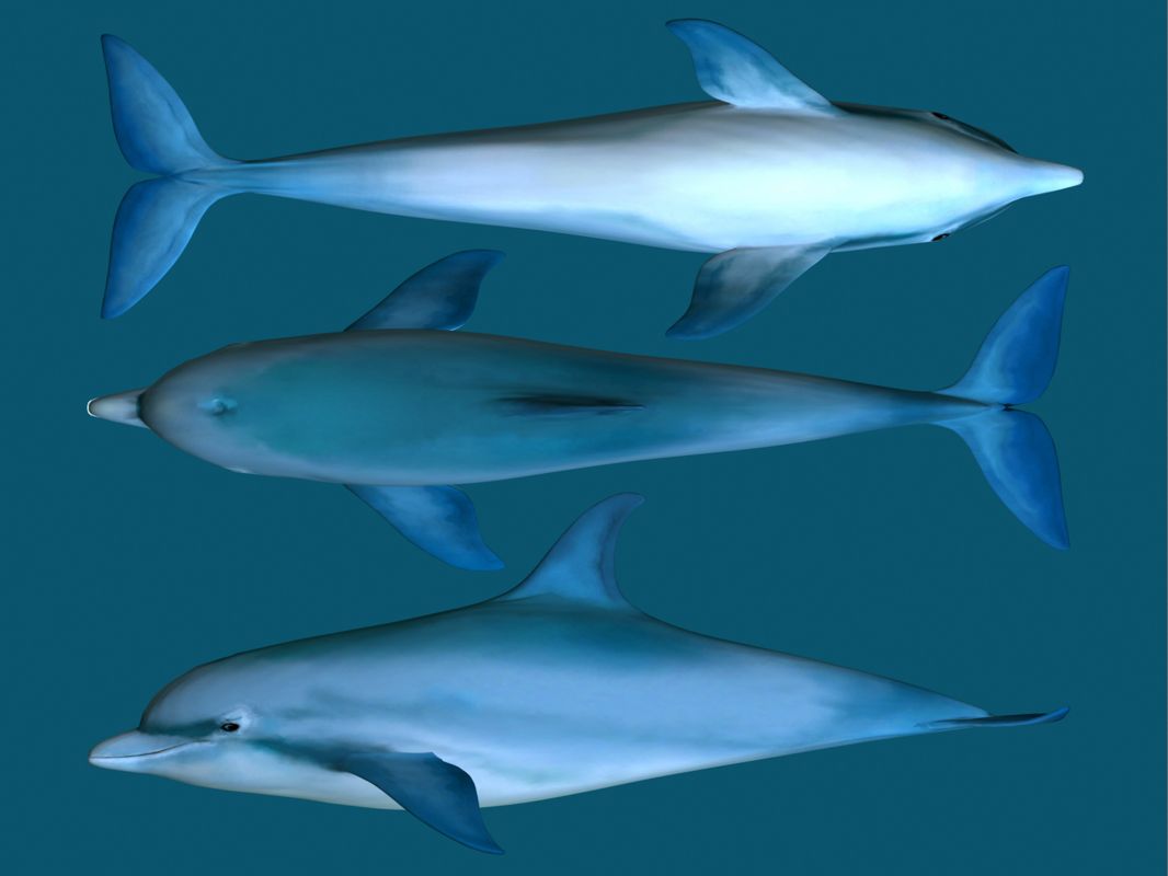 Ecco the Dolphin: Defender of the Future official promotional image - MobyGames